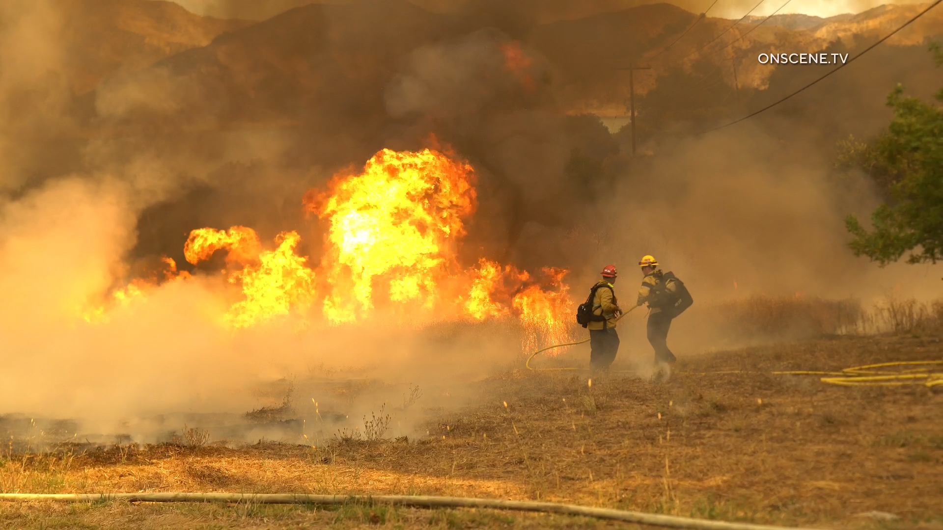 "Felicia” Fire Grows to 300+ Acres – ONSCENE.TV