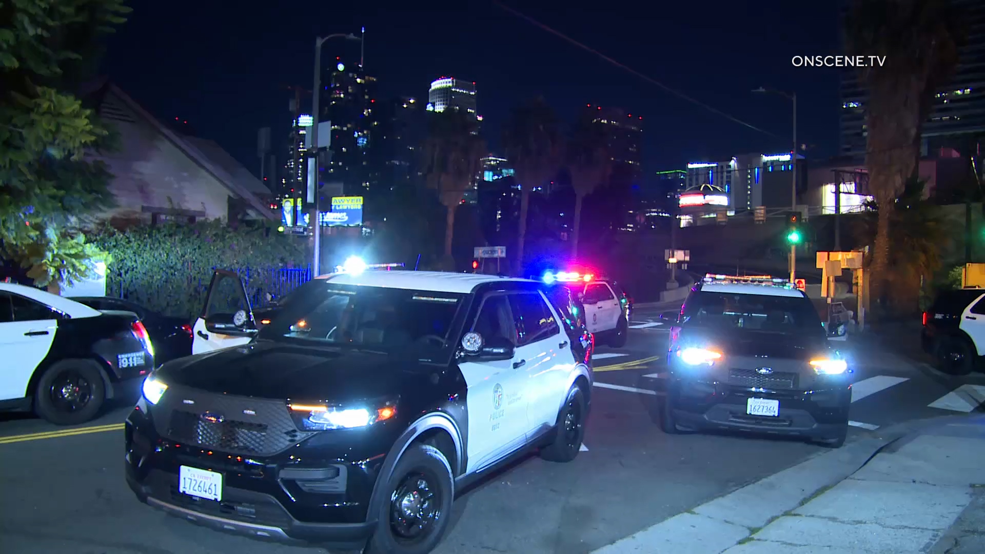 DTLA Girls Chased & Caught – ONSCENE.TV